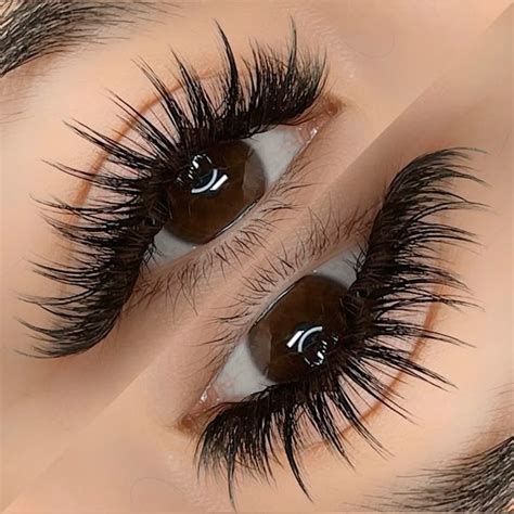 Whispy Look Lashes Fake Eyelashes Perfect Eyelashes Pretty Lashes