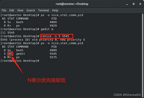 教你linux中的进程管理 linux如何做好进程管理 csdn博客
