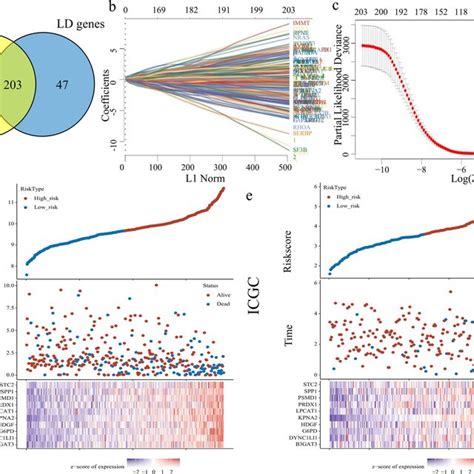 Identifying Prognostic Genes For Developing A Risk Model A Download Scientific Diagram