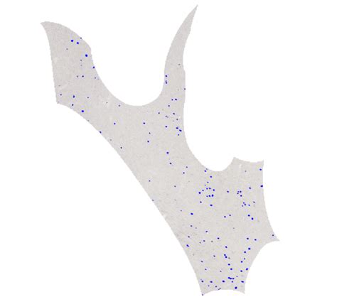 Using Trainable Weka Segmentation To Segment Cfos Ir Cells In An Image Image Analysis Image