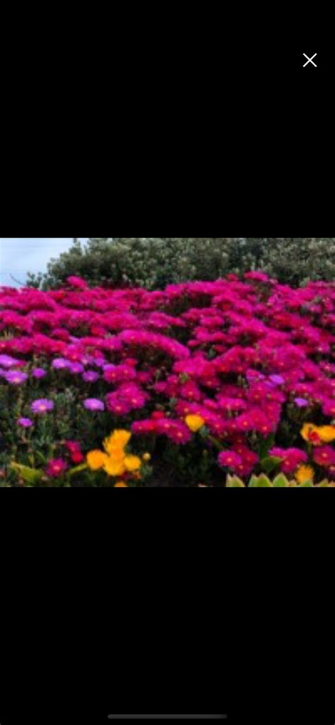 Cropping Image On IOS Results In Poor Quality Image Issue Ivpusic React Native Image