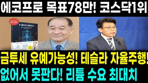 에코프로 주가전망 🔴 긴급 테슬라완전자율주행 중국상륙 리튬수요 바닥찍고 반등한다 하반기 에코프로 목표가 76만 향해쏜다 Youtube