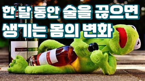 한 달 동안 술을 끊으면 생기는 몸의 변화 Youtube