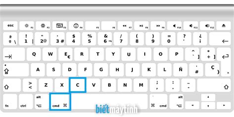 Phím Tắt Copy Paste Cut Trên Máy Tính Biết Máy Tính