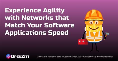joao machete on linkedin openziti zerotrust networking