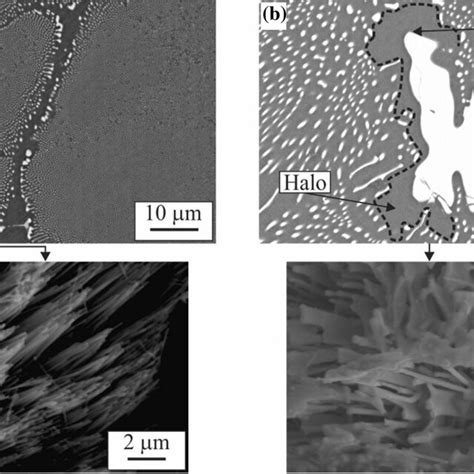 Deep Etching Showing A Al3ni Fibers In The Eutectic Colony And B