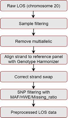 Frontiers An Autoencoder Based Deep Learning Method For Genotype Imputation