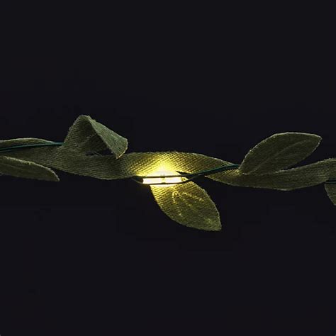 20 warm white led with timer function string lights with 2 2m green cable