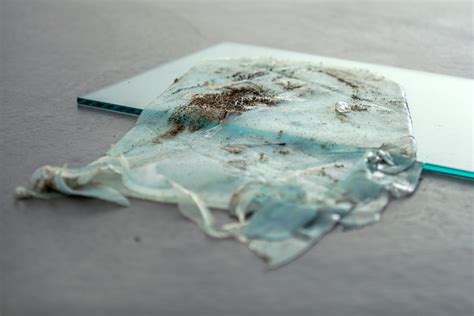 Fossils Layers Of Intimacies Martina Morger