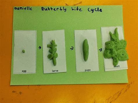 S A Class Of BIG PEOPLE D Science Models