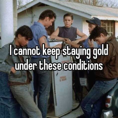 The Socs The Outsiders The Greasers The Outsiders The Outsiders
