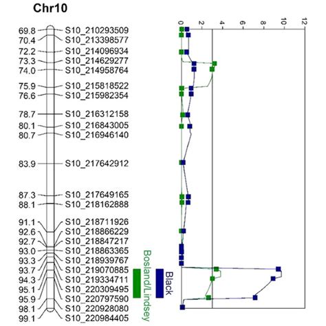 Significant Quantitative Trait Loci Associated With Resistance To Download Scientific Diagram