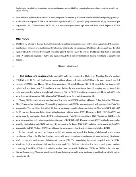 Applied And Environmental Microbiology Template American Society For