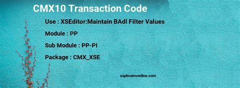CMX SAP Tcode For XSEditor Maintain BAdI Filter Values