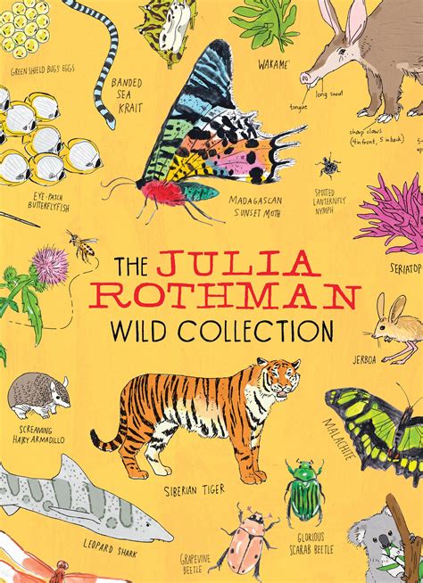 The Julia Rothman Wild Collection By Julia Rothman Hachette Book Group