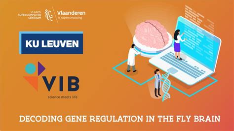 Geert Jan Bex On Linkedin Genetics Hpc Supercomputing Vscentrum