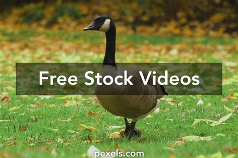 Stepdaughterwalksinondadtakingashower Videos Download The Best