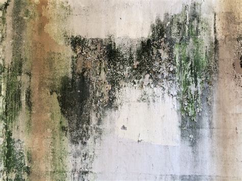 Ann Kogen Photography Ann Kogen Photography