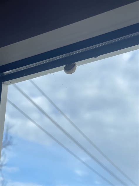 Theres A Snail On My Third Floor Window Rmildlyinteresting