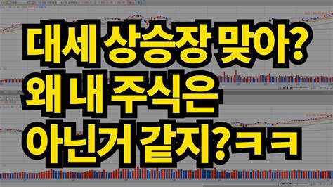 도대체 왜 대세 상승장이라는데 내 주식은 아닌것 같다 196 Youtube