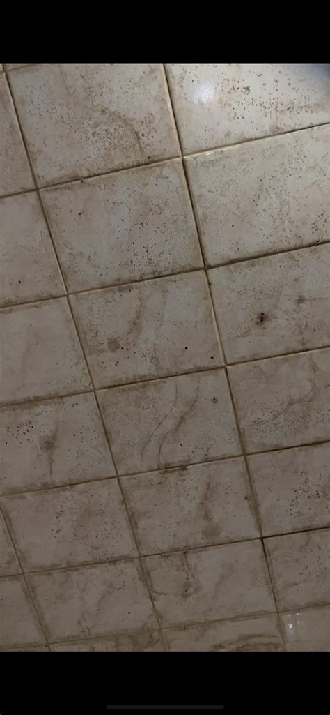 Bathroom Ceiling Tiles At My Friends House Is This Mold Omg I Cant Even Tell R Mold