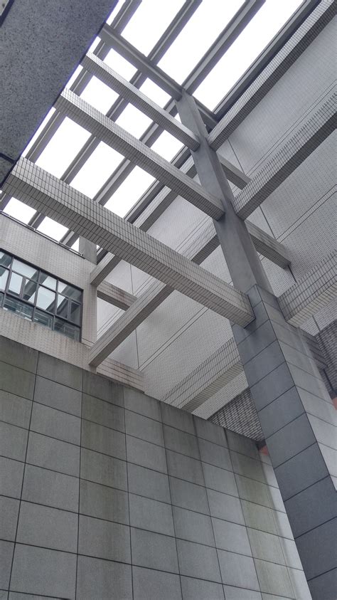 무료 이미지 건축물 바닥 지붕 건물 벽 천장 정면 자료 도서관 뼈대 일광 충칭 대학 옥외 구조물 2896x5152 533586 무료