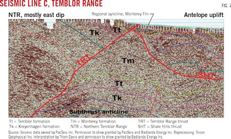 Anticline Seismic