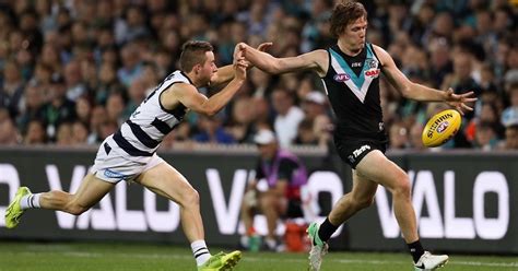 The Fact File Jared Polec