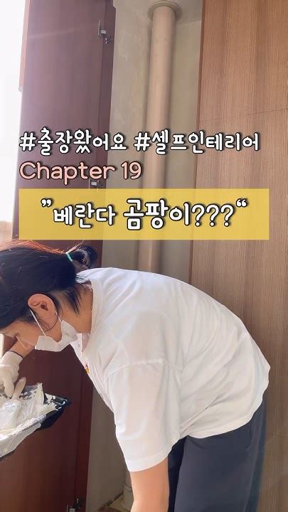 베란다 곰팡이 제거하고 규조토 발랐어요 베란다바꾸기 셀프인테리어 Youtube