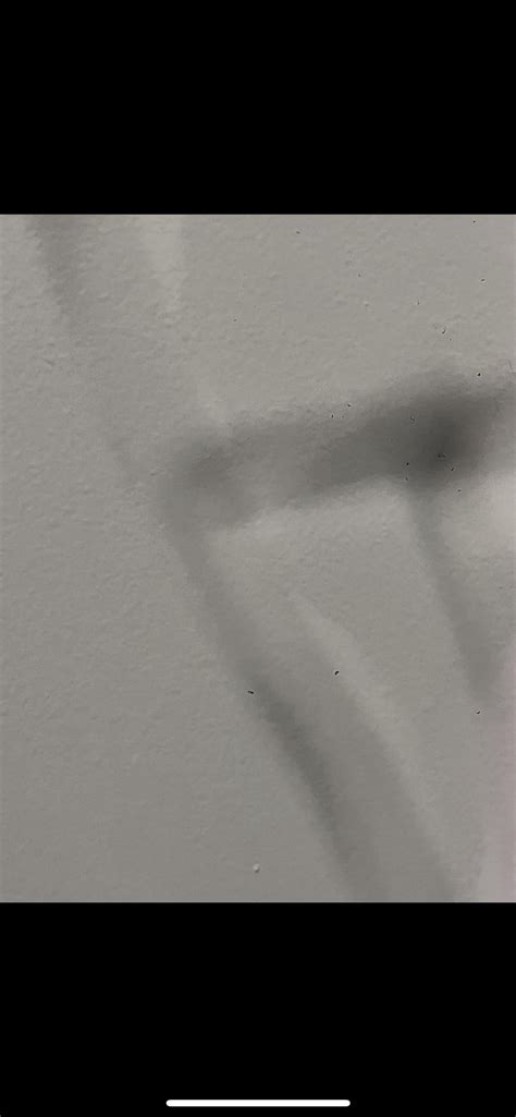 These Weird Lines Appear On My Photos When Taken From The Back Camera