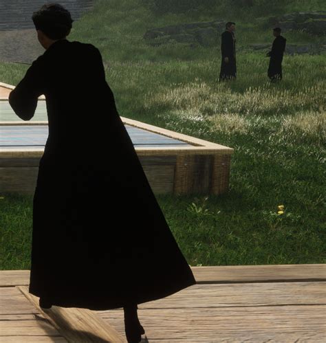 Hogwarts Legacy 990080 · Issue 6510 · Valvesoftwareproton · Github