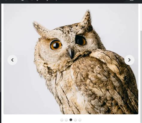 Angular Ngx Image Swiper Example To Build Image Swiper Animation With