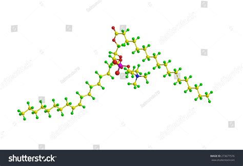 Molecular Structure Lecithin Stock Illustration 273677576 Shutterstock