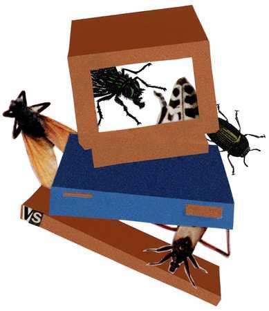 Stock Illustration Computer Bugs
