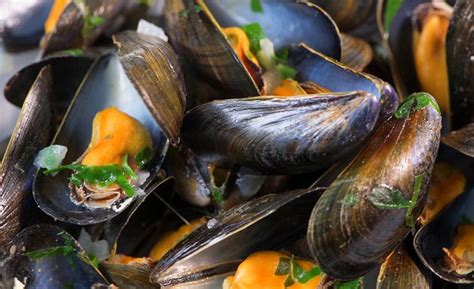 Marine Biotoxin Control For Molluscan Shellfish Food Safety Magazine