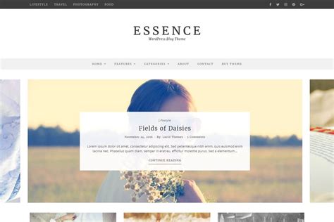 时尚博客皮肤网站模板 essence wordpress blog theme 云瑞设计