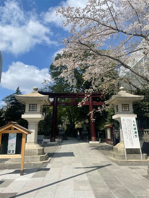 Ariel Han On Linkedin Beautiful