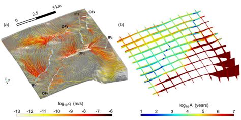 Quantification Of Porosity Generation Processes In Carbonate Basins Amphos21