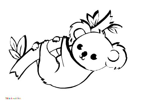 Dessin Dun Bébé Koala à Imprimer Avec Tête à Modeler