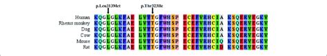 Sequence Alignment Of Ass1 Proteins Among Species Download