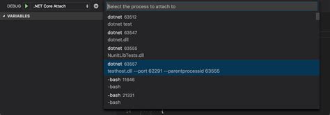 Debugging XUnit Tests In NET Core And Visual Studio Code Gang Of Coders