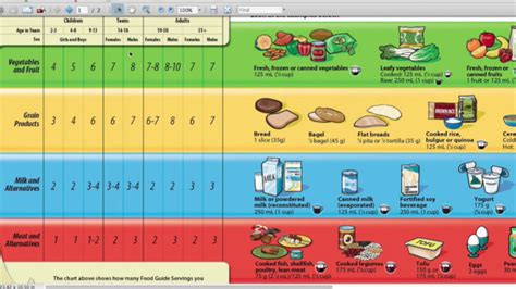Canada Food Guide Printable Worksheets Peggy Worksheets