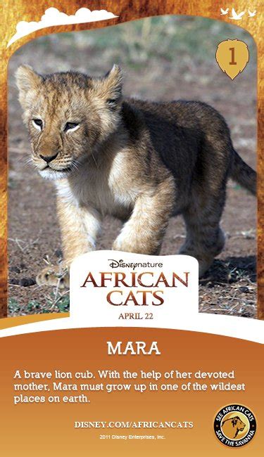 Disneynatures African Cats Banners We Are Movie Geeks