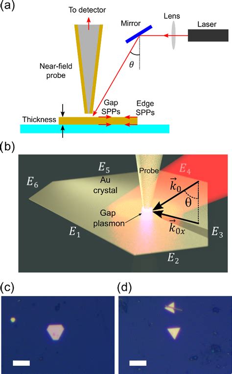 Figure 1 From Anisotropic Generation And Detection Of Surface Plasmon