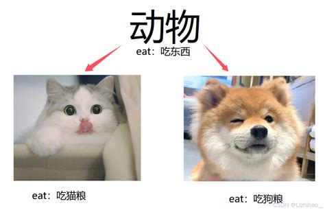 Java 多态 和 重写 彻底给你讲明白java 重写 Csdn博客