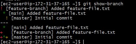 Git List All Branches GeeksforGeeks