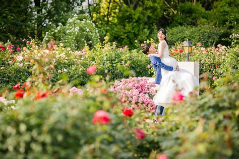 Rose Garden Chiba La Vie Photography