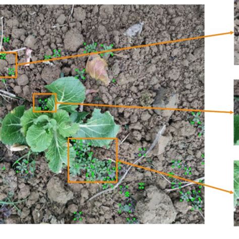Partial Example Pictures During The Detection Process A Small Targets