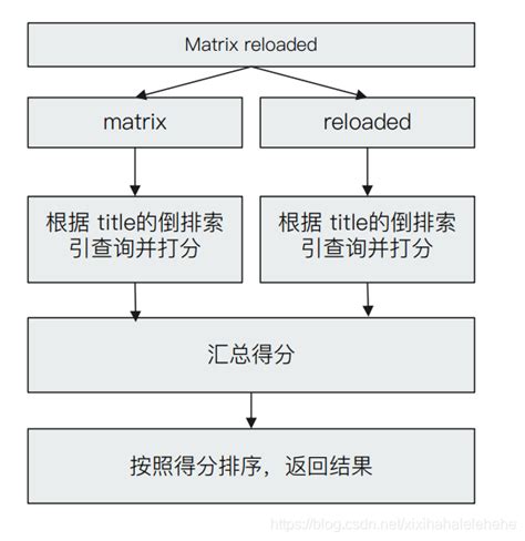 Elasticsearch 基于词项和基于全文的搜索详解