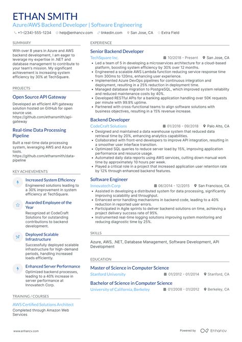 Net Developer Resume Examples Guide For